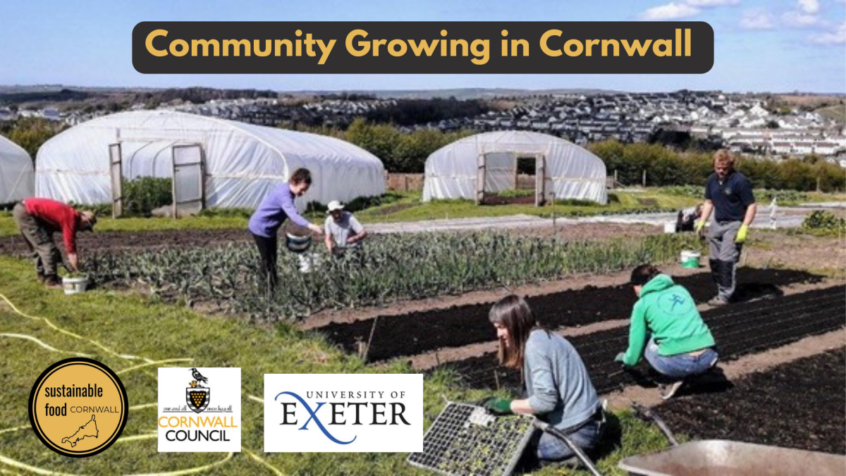 Community Growing in Cornwall | Sustainable Food Places