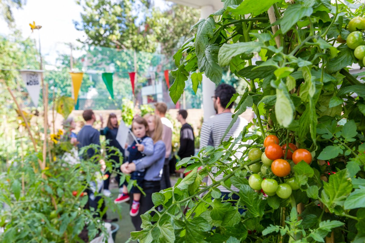 Good to Grow Week launch: Protecting nature and building a Right to ...