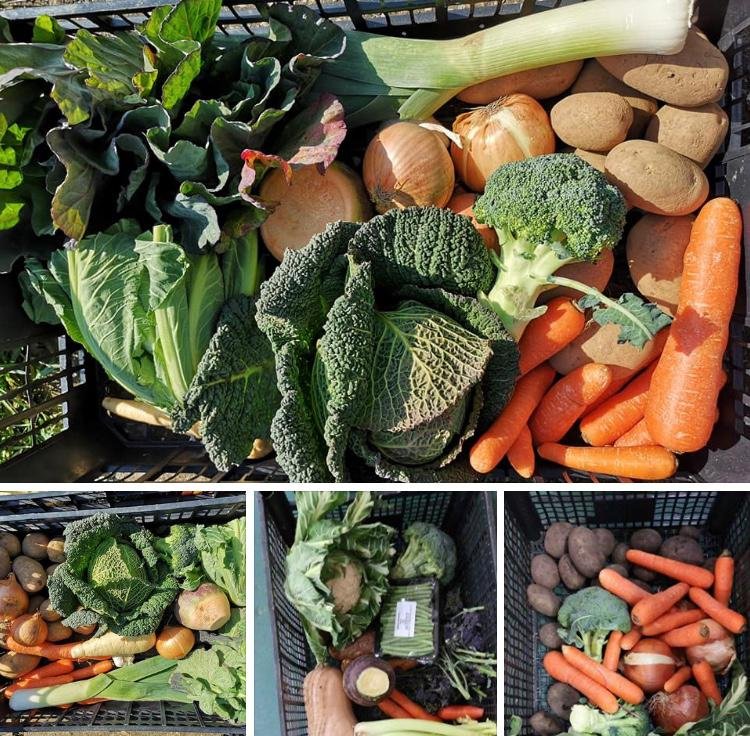 Members | Sustainable Food Places