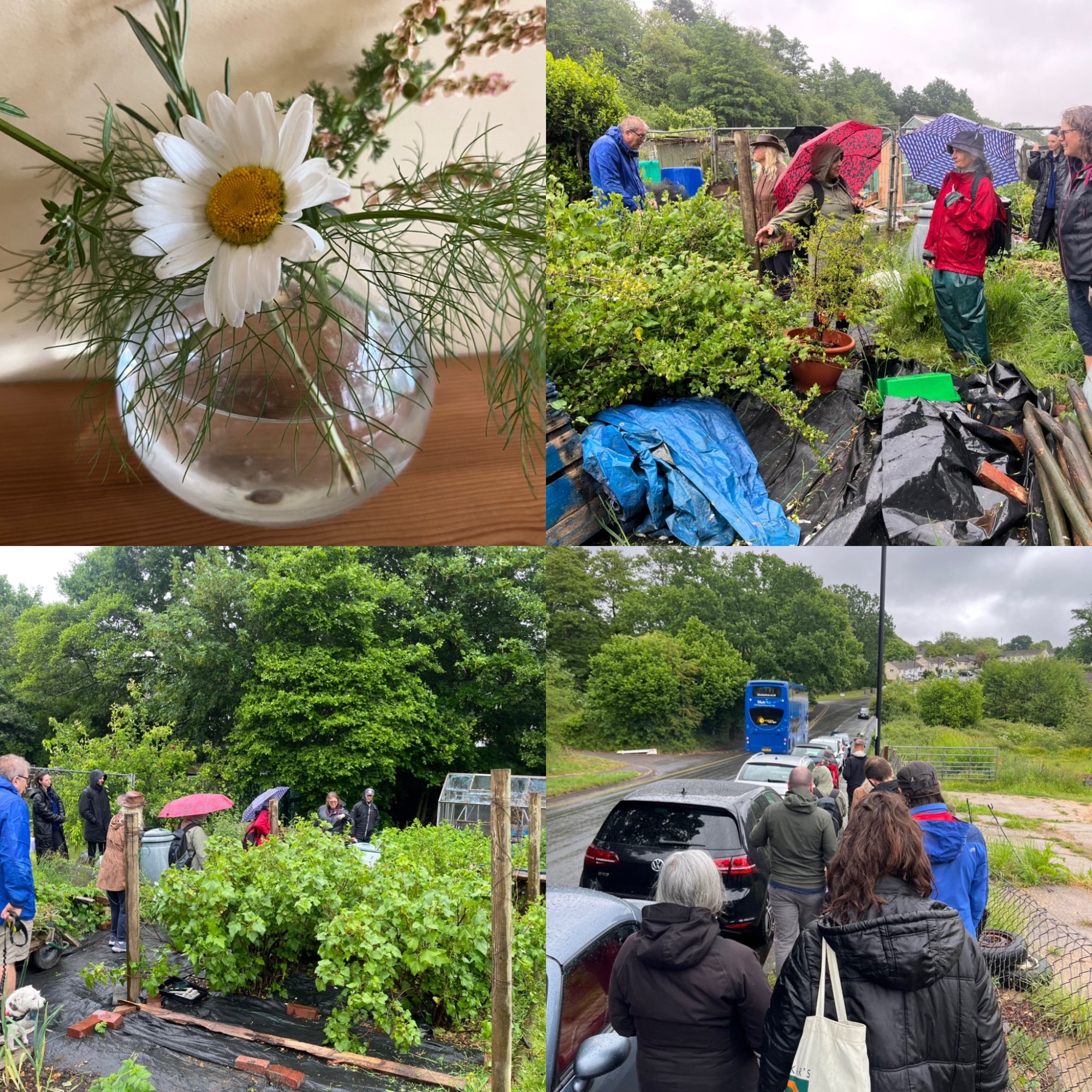 Members | Sustainable Food Places
