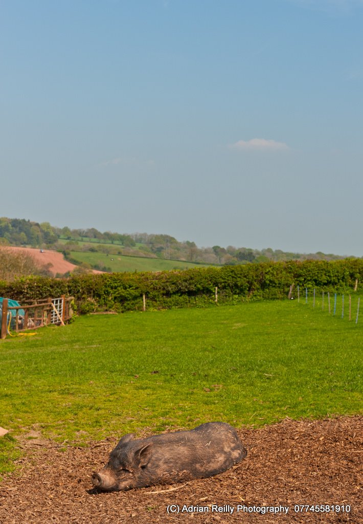 Members | Sustainable Food Places